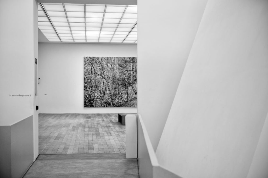 architekur für ein museum, franz gertsch museum, burgdorf – caspar-urban III photographie